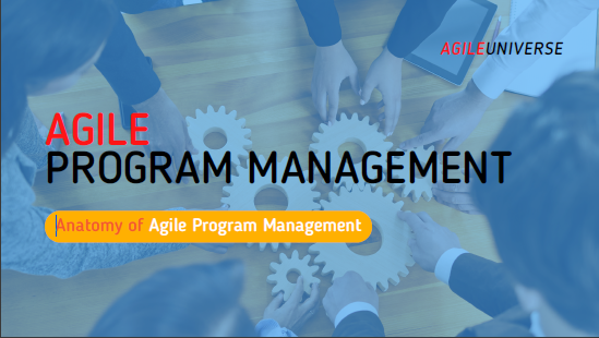 Agile - Agile Universe